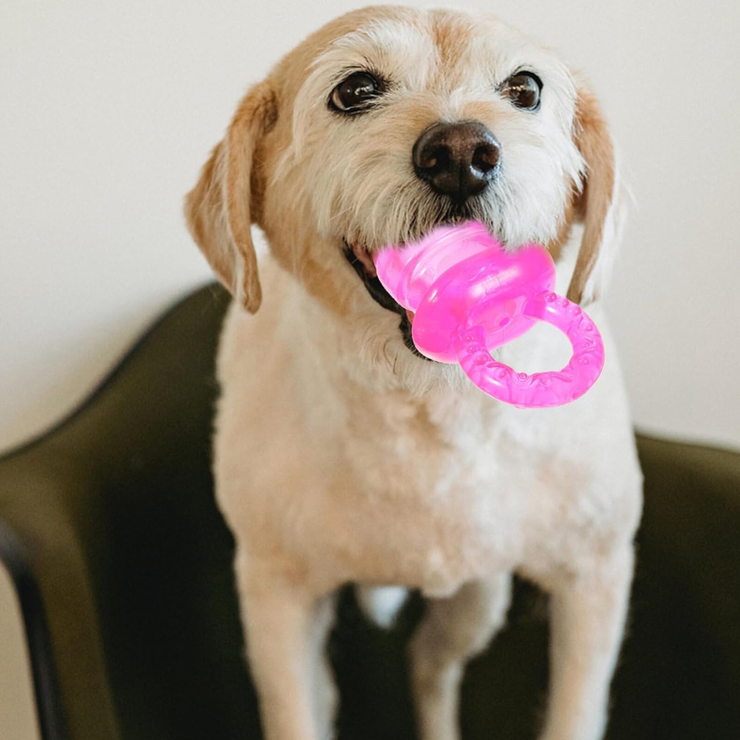 AYNEFY 5 pcs Pet Dog Chewing Toy, Dog Pacifier Chew Toys Pet Puppy Molar Chewing Training Toys Pacifier Shaped Pet Dogs Teether Teething Sounding Interactive Chew Toy (Red)