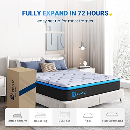 Avenco Hybrid Mattress Twin XL, 12 Inch Twin XL Mattress in a Box, Medium Firm Innerspring Bed Mattress with Individual Pocket Springs & Comfort Foam for Pressure Relief