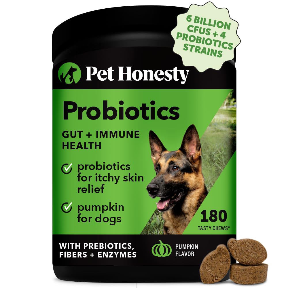 Pet Honesty Probiotics for Dogs - Digestive Enzymes Promotes Gut Health, Dog Probiotics for Diarrhea & Bowel Support, Immunity Health & Itch Relief, Prebiotics and Probiotics (Pumpkin 180 ct)