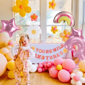 Young Wild and Three Decorations Girl Banner,3rd Birthday Party Decorations,Groovy Retro Hippie Boho Daisy Flower Rainbow And Pink Stars Foil Balloon For Birthday Party Supplies