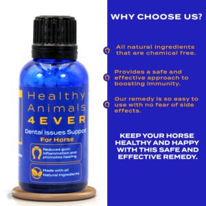 Healthy Animals 4Ever All-Natural Horse Dental Health Support - Maintains Strong, Healthy Teeth & Bones - Dental Supplements for Horses - Homeopathic & Highly Effective - 300 Tablets