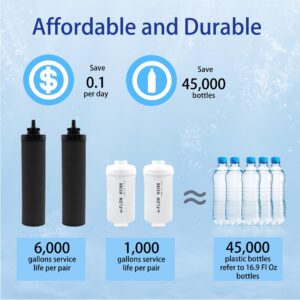 Renami Gravity Water Filter Replacement for Berkey® BB9-2® Black Filters & PF-2® Fluoride Filters, Compatible with Berkey® Gravity Water Filter System, Combo Pack