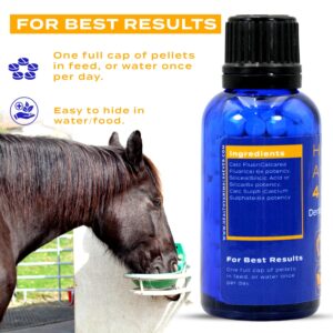 Healthy Animals 4Ever All-Natural Horse Dental Health Support - Maintains Strong, Healthy Teeth & Bones - Dental Supplements for Horses - Homeopathic & Highly Effective - 300 Tablets