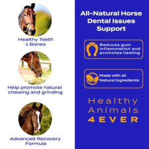 Healthy Animals 4Ever All-Natural Horse Dental Health Support - Maintains Strong, Healthy Teeth & Bones - Dental Supplements for Horses - Homeopathic & Highly Effective - 300 Tablets