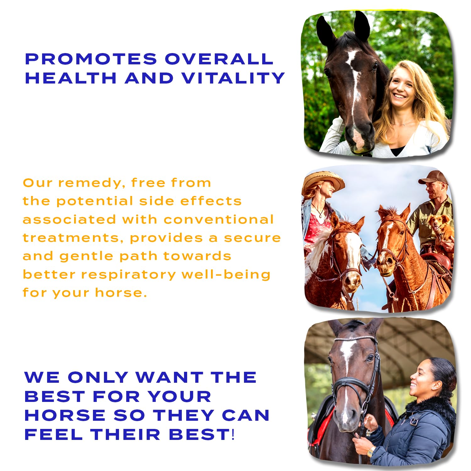 Healthy Animals 4Ever All-Natural Horse Dental Health Support - Maintains Strong, Healthy Teeth & Bones - Dental Supplements for Horses - Homeopathic & Highly Effective - 300 Tablets