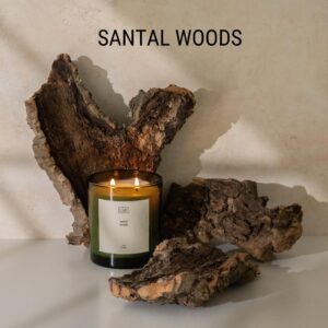 Premium Candle | Santal Woods Christmas Scented Candles for Home | Natural Soy Candles Gifts for Women | Holiday Candles, Nature Collection | Christmas Gift Ideas for Men and Women