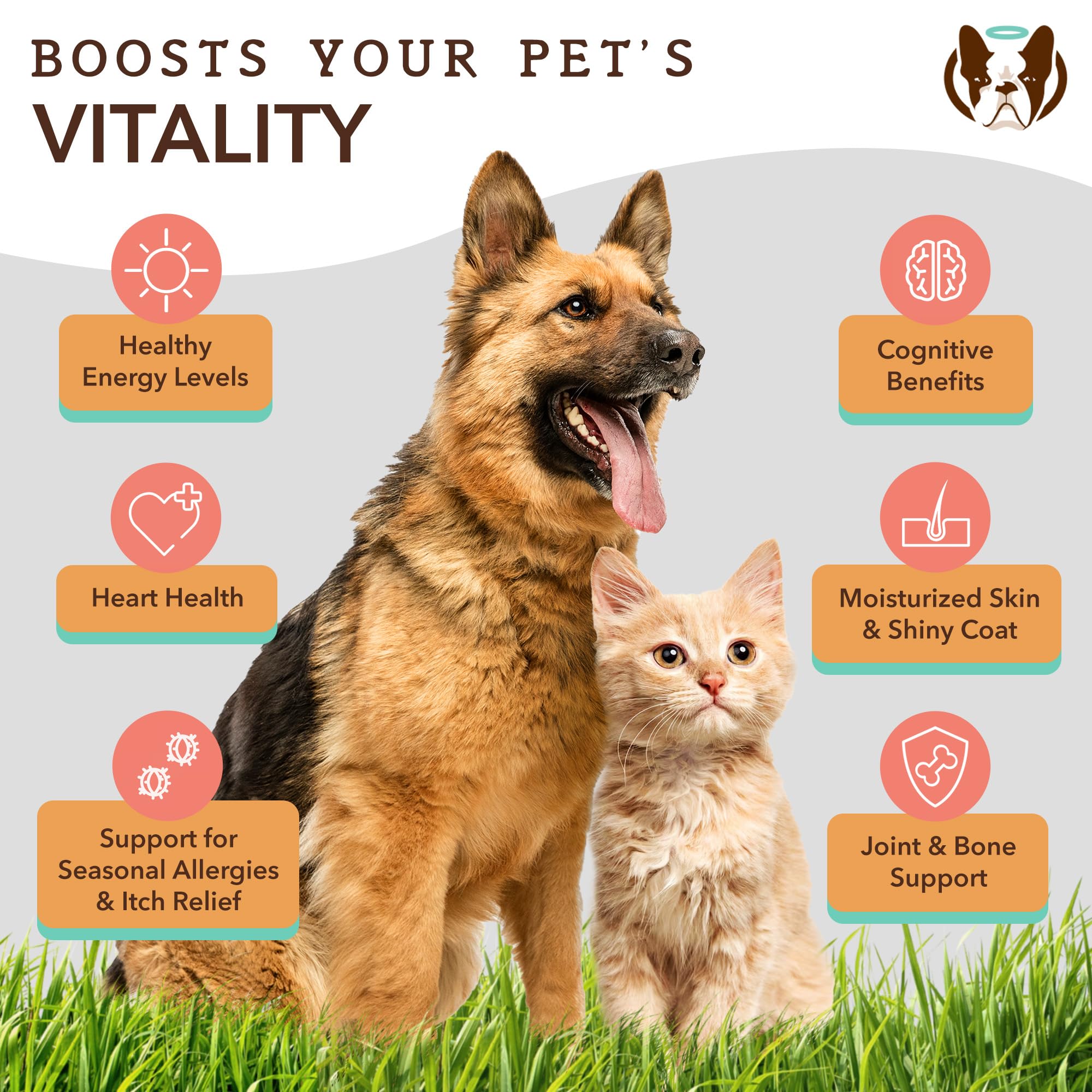 Natural Dog Company Wild Alaskan Salmon Oil & Probiotic Chews for Dogs Bundle: Salmon Oil & Probiotics - Healthy Skin and Coat and Digestive Health Combo for Dogs of All Breeds and Sizes