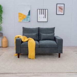 Panana 2 Seater Sofa 2 Seat Loveseat Compact Loveseat Couch Living Room Furniture with Armrest, Grey 2 Seater