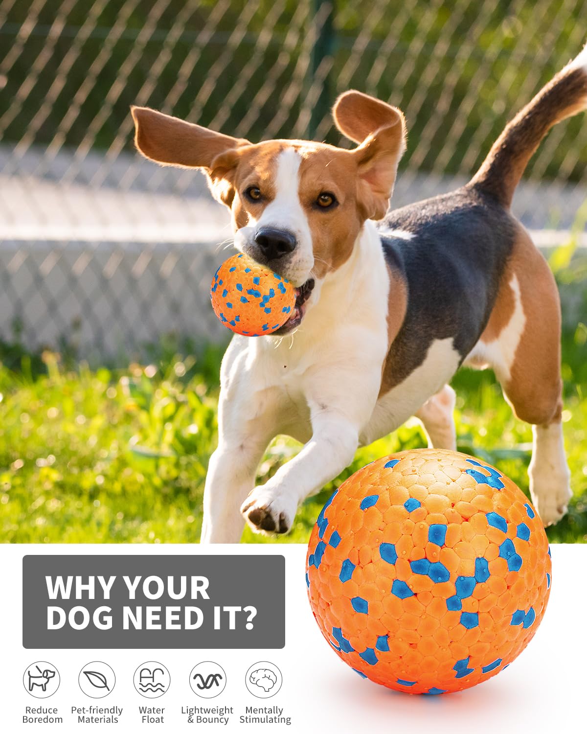 EVERDAZZ Tennis Ball Dog Toys for Aggressive Chewers: Teething Chew Toys - Water Toy Fetch Balls for Large Medium Small Dog and Puppy (2 Balls)