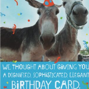 Heartline Funny Donkey Birthday Card - We Thought About Giving You a Dignified, Sophisticated, Elegant Birthday Card, But We Were Afraid If We Did... You Might Not Know It Was From Us!