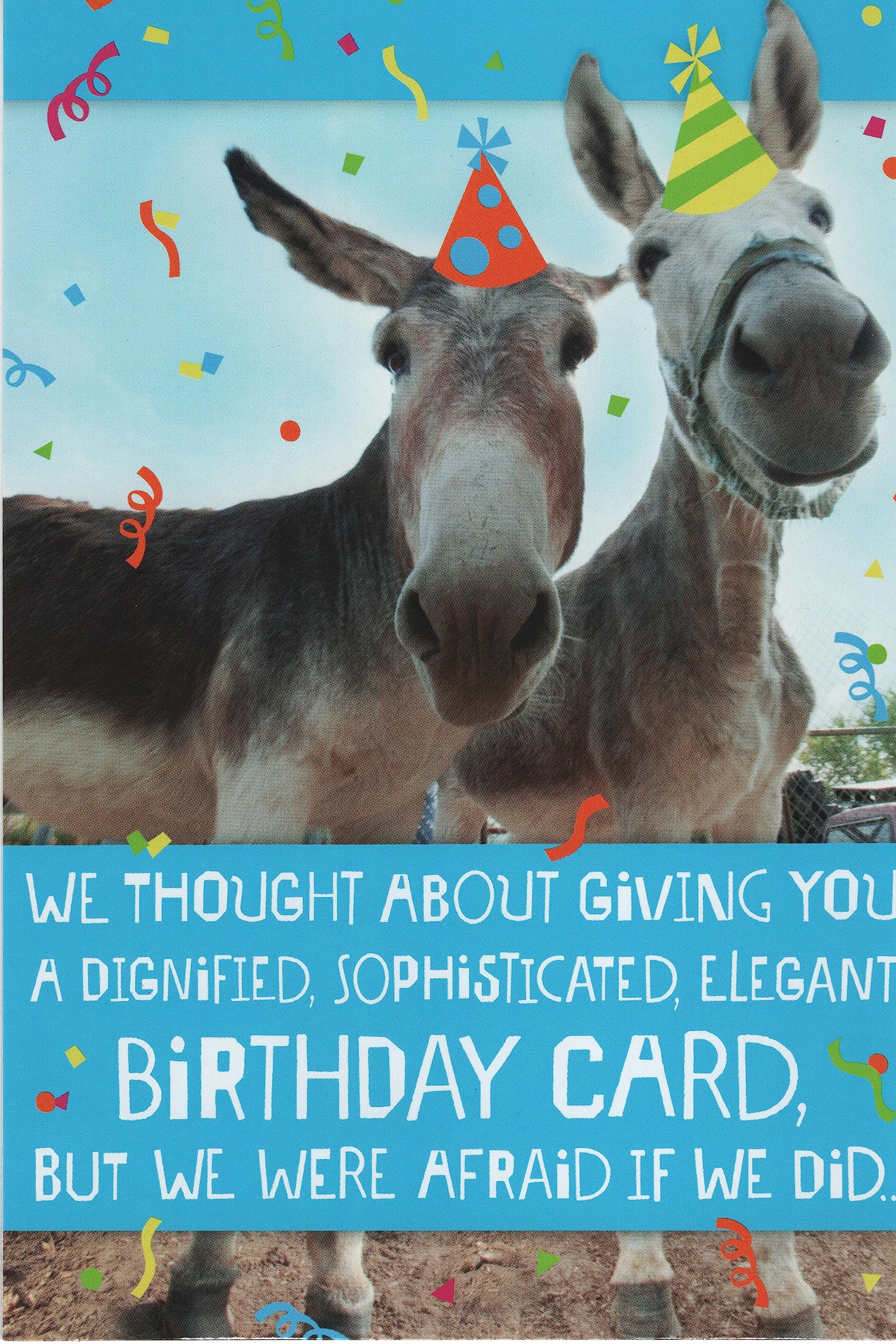 Heartline Funny Donkey Birthday Card - We Thought About Giving You a Dignified, Sophisticated, Elegant Birthday Card, But We Were Afraid If We Did... You Might Not Know It Was From Us!