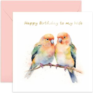 old english co. happy birthday card for wife - love bird painting special birthday card for her from husband - cute birthday card for wife with gold foil detail | blank inside with envelope