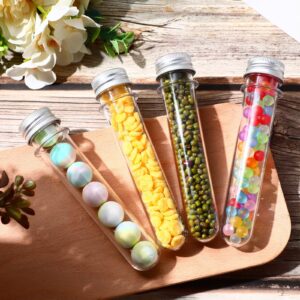 50 Pcs Test Tubes 40 ml Plastic Test Tubes with Screw Lids 1.1 x 5.5 Inch/ 28 x 140 mm Clear Candy Tubes Vials Storage Tubes Container for Sample Powder Seed Bead Gift Science Party (Silver)