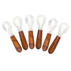 duebel set of 6 caviar spoons of wood handle, 4" mother of pearl spoons for caviar serving, egg serving, catering deroration