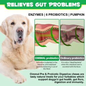 Probiotics for Dogs with Prebiotics and Digestive Enzymes, Dog Probiotics Chews Omega-3 & 6, Vitamin, Improve Digestion, Immunity, Reduce Diarrhea, Gas