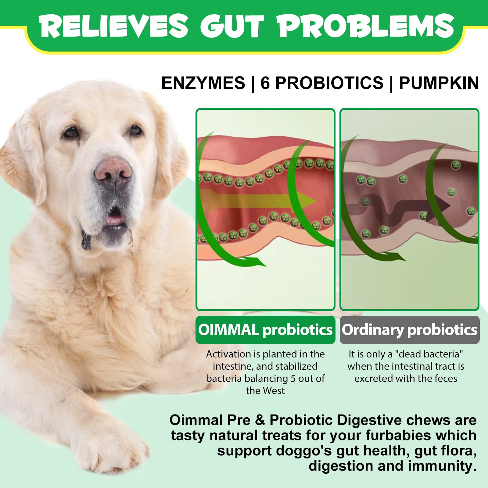 Probiotics for Dogs with Prebiotics and Digestive Enzymes, Dog Probiotics Chews Omega-3 & 6, Vitamin, Improve Digestion, Immunity, Reduce Diarrhea, Gas