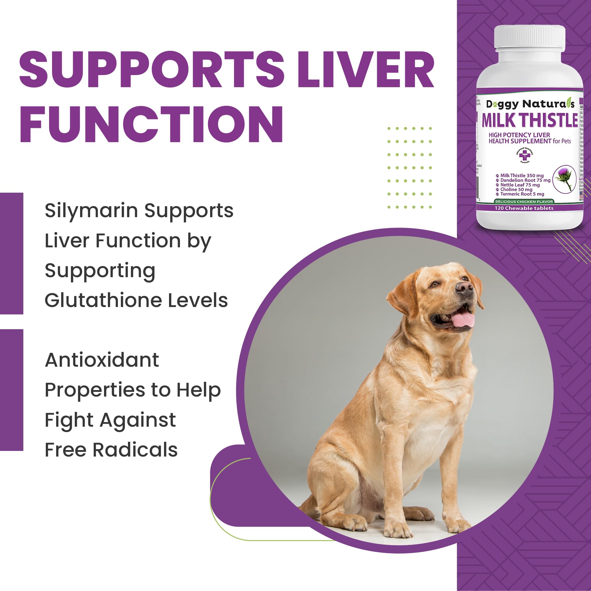 Milk Thistle for Dogs with High Potency Liver Health Supplement for Pets (120 tabs)