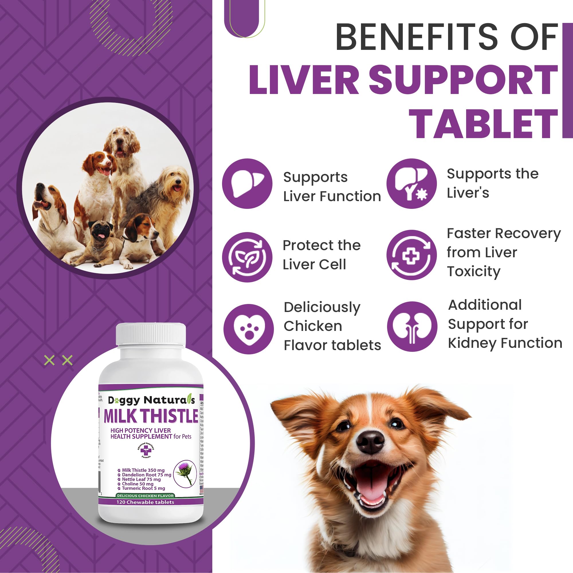 Milk Thistle for Dogs with High Potency Liver Health Supplement for Pets (120 tabs)