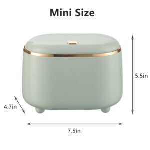 LtyTz Mini Trash Can with Lid, Removable Desk Trash Can Office Plastic Garbage Can,Tiny Waste Basket for Bathroom,Office,Kitchen,Desk,Coffee Table(Green)