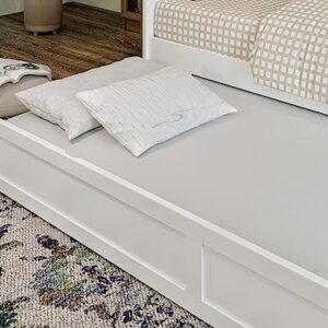 AFI, Acadia Twin Size Wood Daybed Frame with Twin Trundle, White