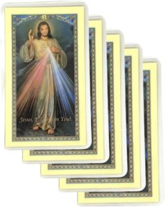 amazing saints the chaplet of the divine mercy laminated holy card set of 5