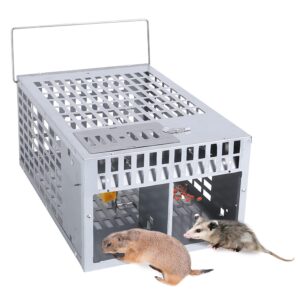 moclever humane rat trap live rat traps reusable metal rat rodent cage catch release continuous capture trap 2 doors indoor outdoor pet children safe-11.4 * 7.4 * 5.1in