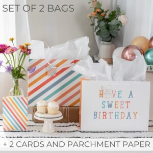 Beautiful Birthday Gift Bags Set of 2 - Large 14.5" Bags with Handles incl. Matching Tissue Paper, Cards & Stickers - Reusable and Perfect For Presents of Any Girls/Boys Kids Party & Special Occasion