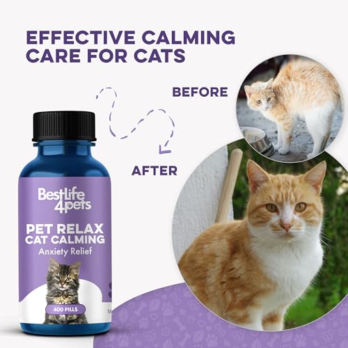 Pet Relax Cat Calming Anxiety Relief - Natural Calming Care for Cats, Cat Stress and Anxiety Relief, Soothes Separation Anxiety, Homeopathic Feline Aid for Travel - 400 Odorless, Tasteless Pills