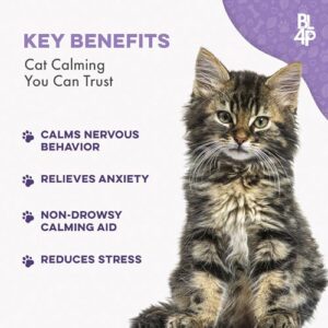 Pet Relax Cat Calming Anxiety Relief - Natural Calming Care for Cats, Cat Stress and Anxiety Relief, Soothes Separation Anxiety, Homeopathic Feline Aid for Travel - 400 Odorless, Tasteless Pills