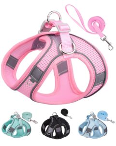 solmoony dog harness for small medium large dogs no pull, puppy harness and leash set, puppy harness for small dogs, step in harness for small dogs, small dog harness, mesh dog harness. (pink, xs)