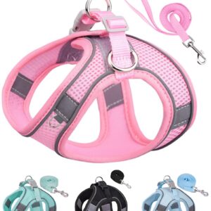 Solmoony Dog Harness for Small Medium Large Dogs No Pull, Puppy Harness and Leash Set, Puppy Harness for Small Dogs, Step in Harness for Small Dogs, Small Dog Harness, mesh Dog Harness. (Pink, XS)