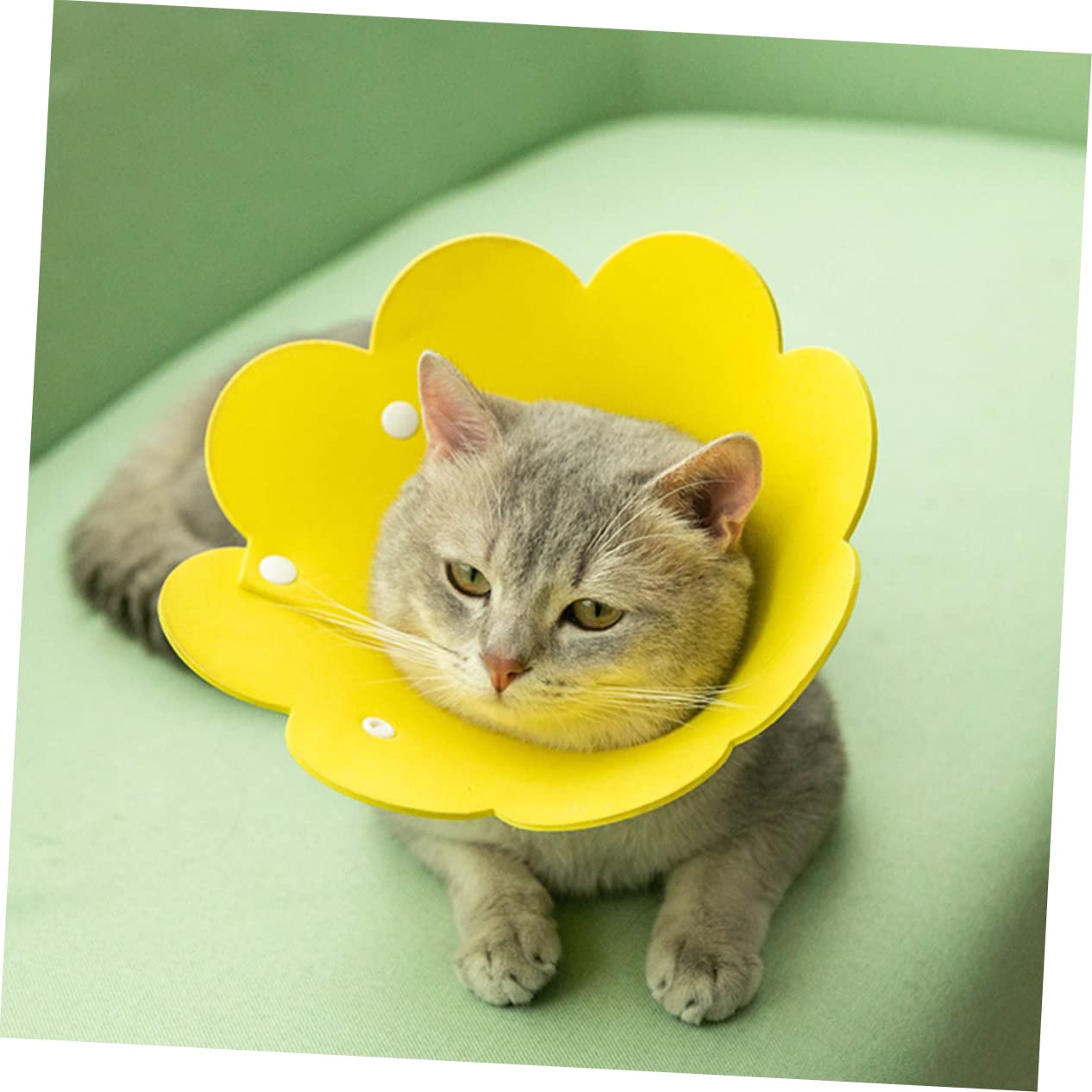 Balacoo 10 Pcs Sponge cat Headgear Chocker cat Cone Collar Soft cat Neck Collar Soft cat Cone cat Cones to Stop Licking Small cat Collar Decorative pet Neck Collar The cat eva pet Ball