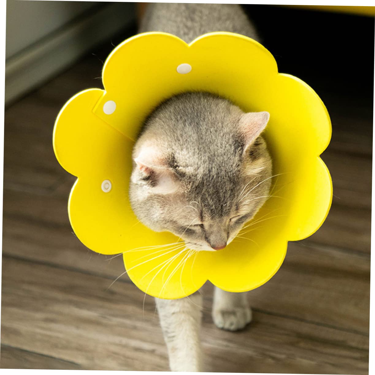 Balacoo 10 Pcs Sponge cat Headgear Chocker cat Cone Collar Soft cat Neck Collar Soft cat Cone cat Cones to Stop Licking Small cat Collar Decorative pet Neck Collar The cat eva pet Ball