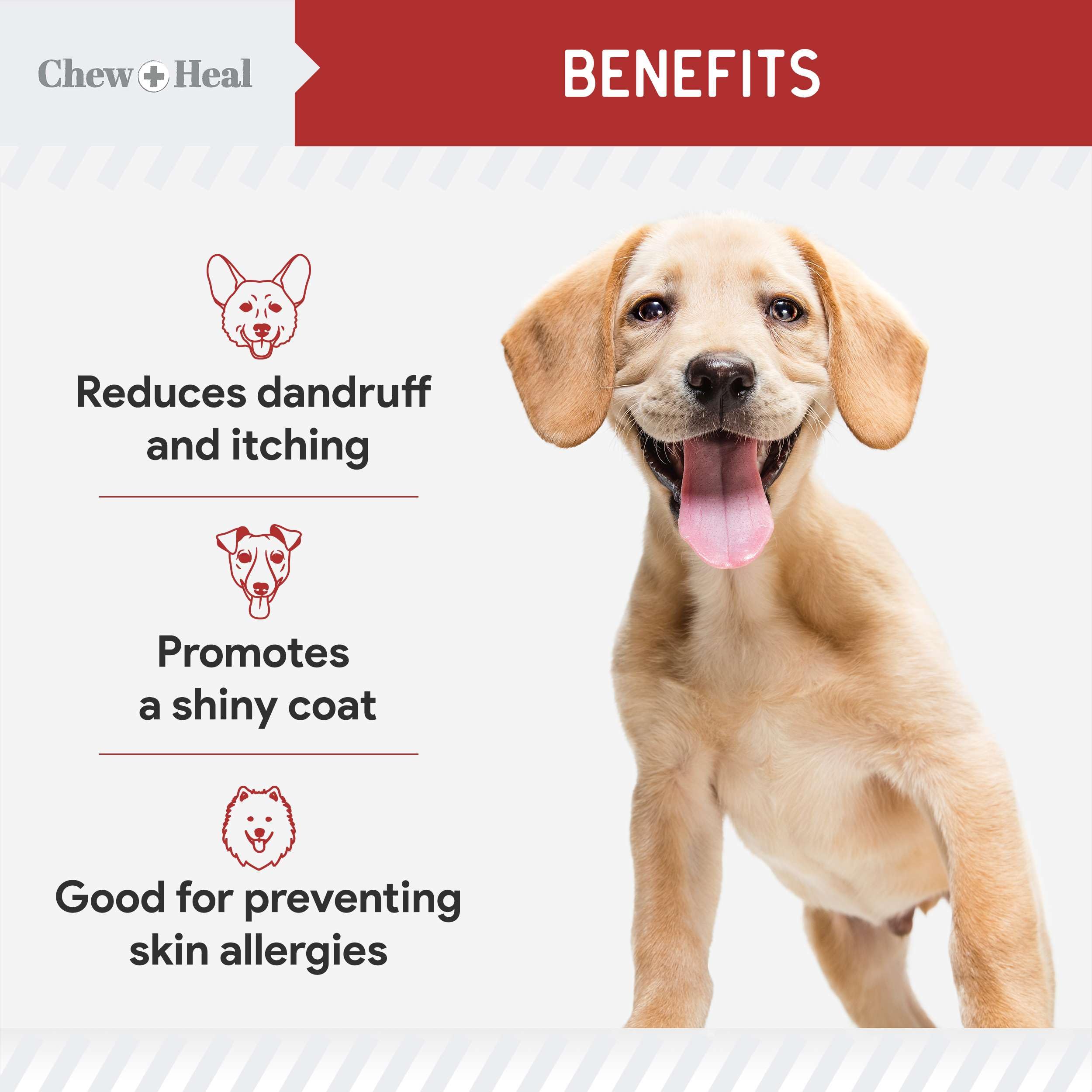 Omega for Dogs - 180 Delicious Soft Chews - Salmon Oil Treats for Skin and Coat, Itch Relief - Fish Oil Blend of Essential Fatty Acids, Omega 3, 6, and 9, and Vitamins - Smoked Bacon Flavor