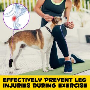 Oimmal 1 Pair Dog Leg Brace for Rear Hock & Ankle Front Leg Support, Canine Hind Leg Joint Compression Wrap, Dog Leg Support, Injury and Sprain Protection, Ankle Brace with Knee Support for Dogs (L)