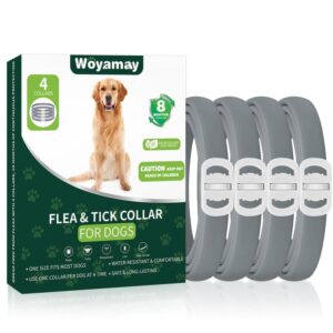 4 pack flea collar for dogs, dog flea and tick treatment, 8 months protection flea and tick collar for dogs, waterproof dog flea collar, adjustable collar flea and tick prevention for dogs, grey