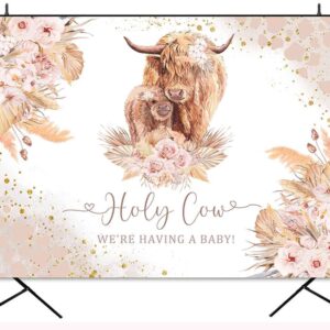 Ayayiya Boho Holy Cow Baby Shower Backdrop Highland Cow We are Having A Baby Bohemian Pink Floral Pampa Grass Photography Background Farm Animal Baby Shower Party Decorations Banner Supplies 5x3ft