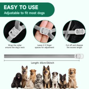 4 Pack Flea Collar for Dogs, Dog Flea and Tick Treatment, 8 Months Protection Flea and Tick Collar for Dogs, Waterproof Dog Flea Collar, Adjustable Collar Flea and Tick Prevention for Dogs, Grey