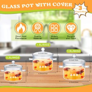 Hsei 3 Pcs Glass Simmer Pot Heat Resistant Clear 1.3 1.5 1.9 L Glass Saucepan with Cover Handle Glass Pots for Cooking Glass Cookware Glass Stovetop Pot and Pan with Lid for Pasta Noodle (Trendy)