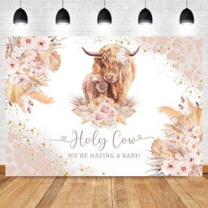 Ayayiya Boho Holy Cow Baby Shower Backdrop Highland Cow We are Having A Baby Bohemian Pink Floral Pampa Grass Photography Background Farm Animal Baby Shower Party Decorations Banner Supplies 5x3ft