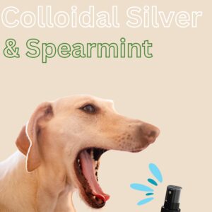 SYLVR SUPPORT- Colloidal Silver & Spearmint Teeth & Gum Spray for Dogs & Cats & Pets, Target Bad Breath, Clean Ingredient Pet Oral Care Solution (4 oz.)