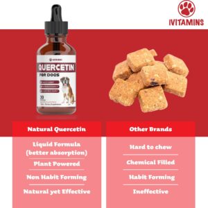 Quercetin for Dogs | Dog Allergy Relief | Quercetin for Dogs Allergies | Dog Allergy | Quercetin | Dog Allergy Support | Quercetin Dog | Dog Allergies | Quercetin Supplements | Bacon Flavor (2 Pack)