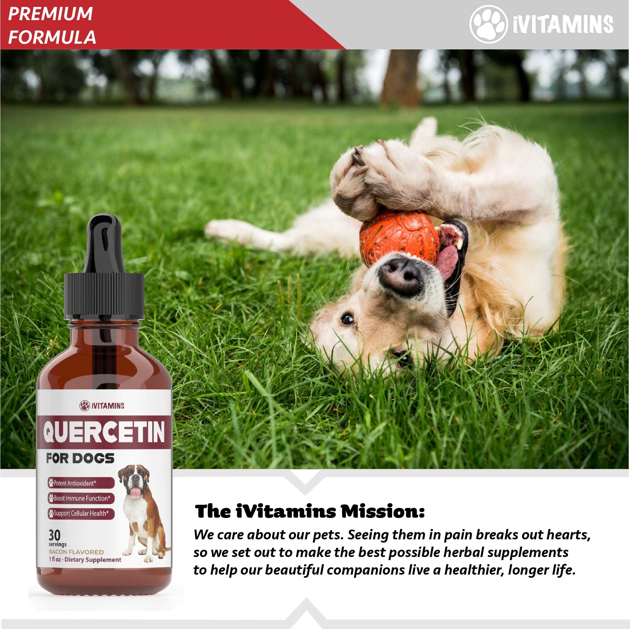 Quercetin for Dogs | Dog Allergy Relief | Quercetin for Dogs Allergies | Dog Allergy | Quercetin | Dog Allergy Support | Quercetin Dog | Dog Allergies | Quercetin Supplements | Bacon Flavor (2 Pack)