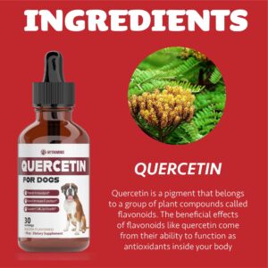 Quercetin for Dogs | Dog Allergy Relief | Quercetin for Dogs Allergies | Dog Allergy | Quercetin | Dog Allergy Support | Quercetin Dog | Dog Allergies | Quercetin Supplements | Bacon Flavor (2 Pack)