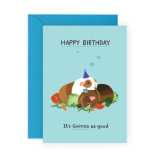 central 23 happy birthday card for him her - guinea pig birthday - funny animal puns - birthday jokes for friends daughter son mom dad - gifts for men and women - comes with fun stickers