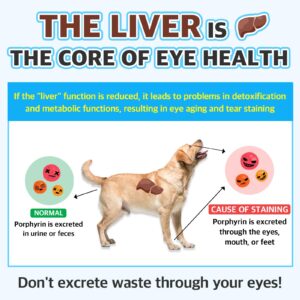 Doctor By Eyes Supplement for Dogs and Puppy – Tear Stain Remover Vision Support with Lutein & Omega-3 + Milk Thistle Duck Flavored Soft Chews - 82 oz (80g), 70 Brown…