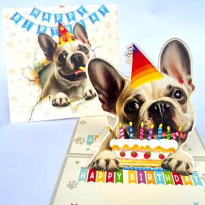 funny french bulldog dog 3d birthday funny pop up cards - french bull dog 3d birthday popup cards - happy birthday lovely cards for french bulldog lovers