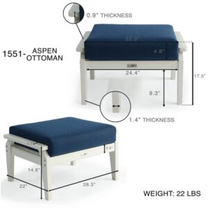 LuXeo Aspen Gray Ottoman with Gray Cushion