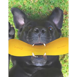 Sniffiz CHUCHU Bone Durable Rubber Chew Toy for Aggressive Chewers, Teething Puppies, and Small/Medium/Large Dogs