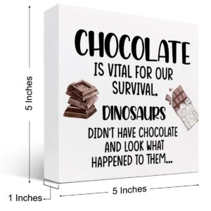 Funny Kitchen Wood Sign Decor,Chocolate is Vital for Our Survival Wood Box Block Plaque Sign for Home Kitchen Shelf Table Desk Decorations